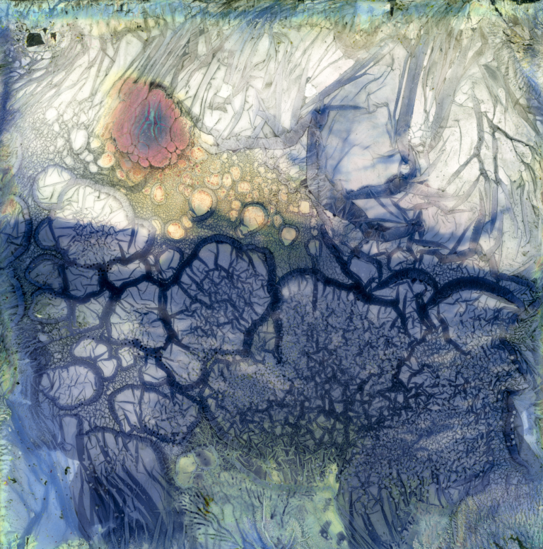 POLAROID DECAY - OSCAR